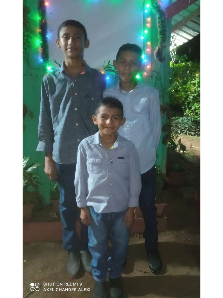 Pixelcut Export | PDF