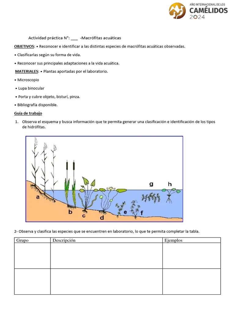 Macrofitas Acuaticas | PDF