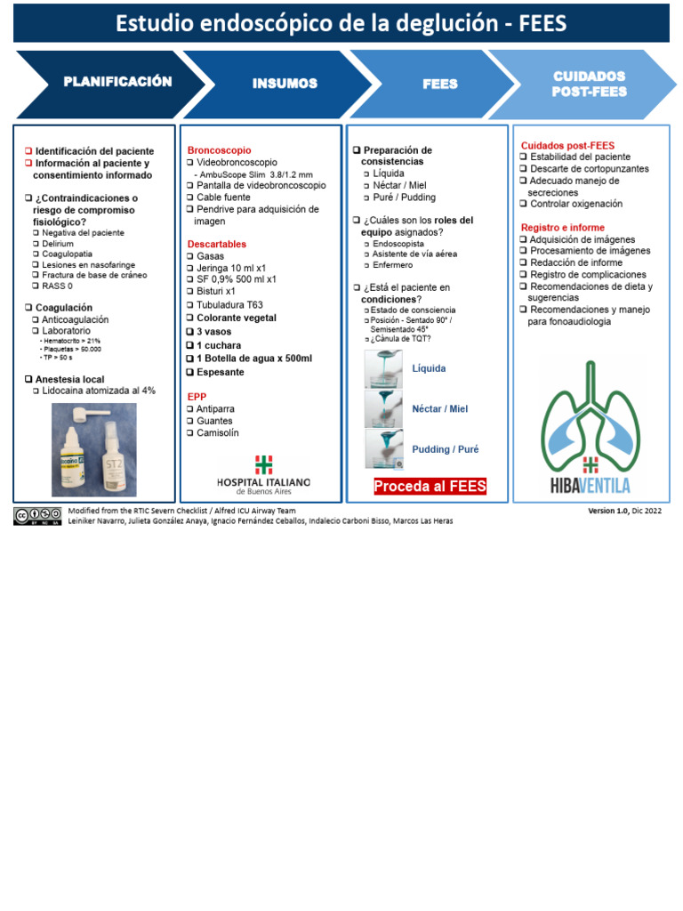 Checklist - FEES 2022 | PDF | Enfermedades y trastornos | Medicina