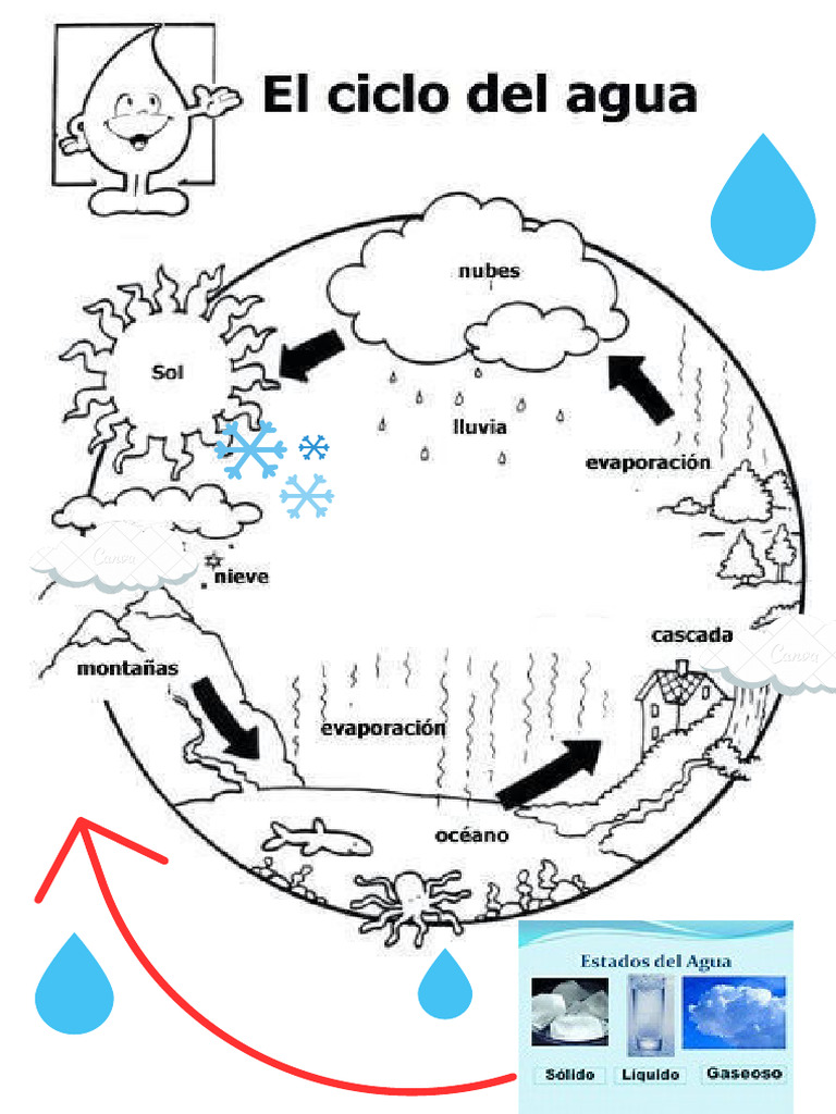 Ciclo Del Agua Pdf