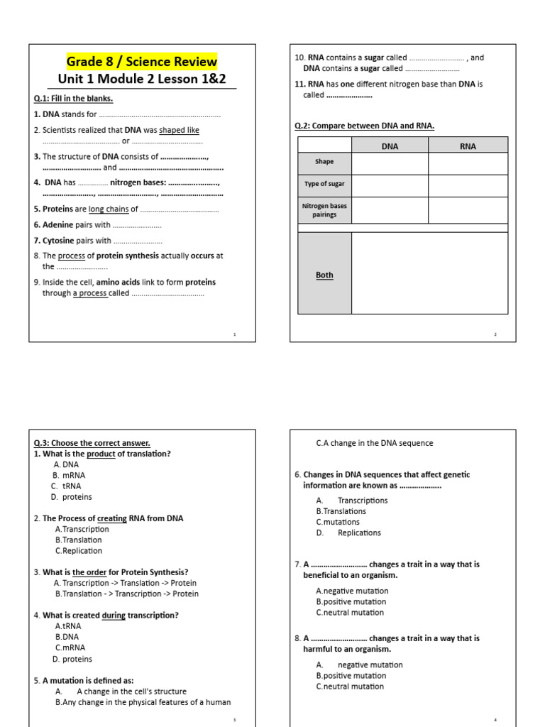 Grade 8 - Science Reviewsheet | PDF | Dna | Rna