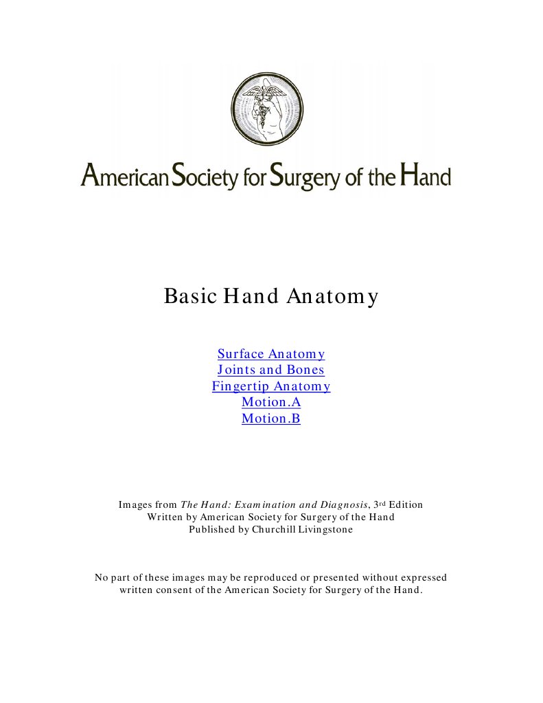 Basic Hand Anatomy | PDF | Politics | Social Science