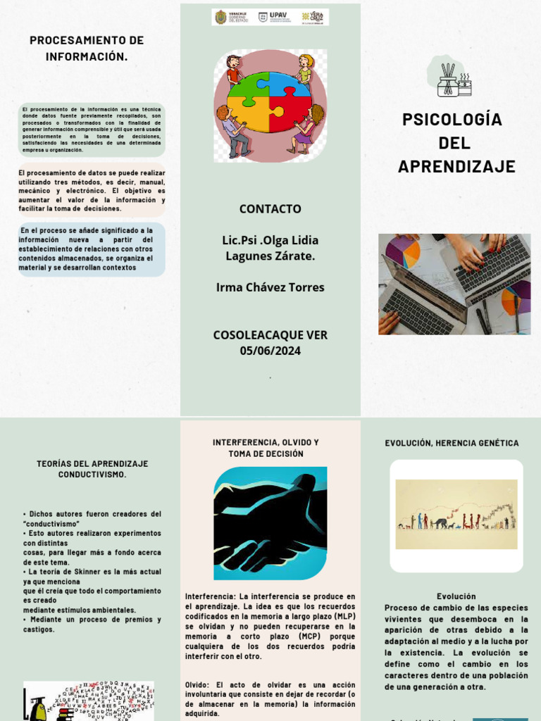 Triptico Temas Vistos | PDF | Memoria | Evolución
