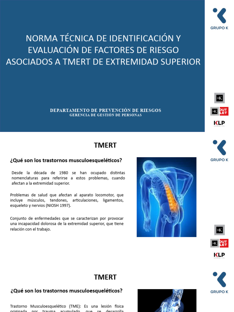Evaluación de Riesgos TMERT en EESS | PDF | Crecimiento personal y profesional