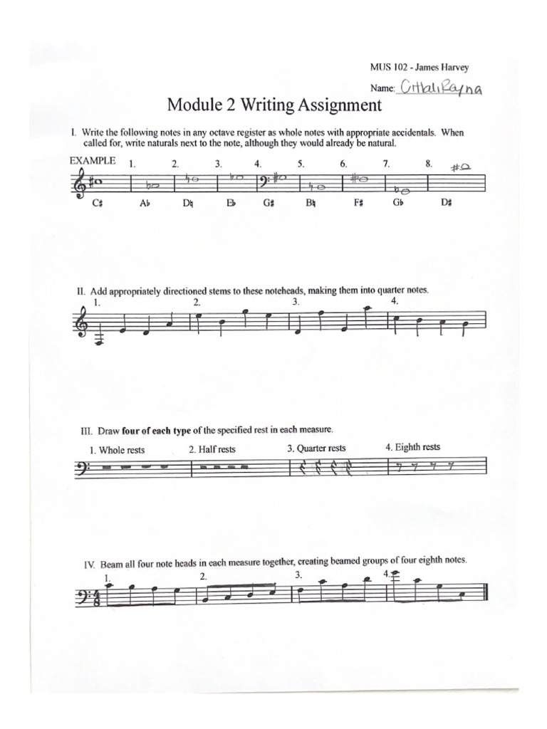 Module 2 Writing Assignment | PDF