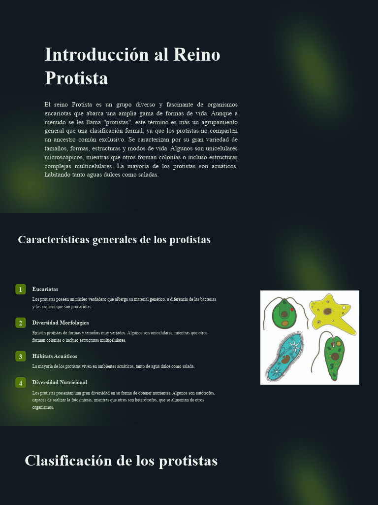 Introduccion Al Reino Protista | PDF | Algas | Eucariotas