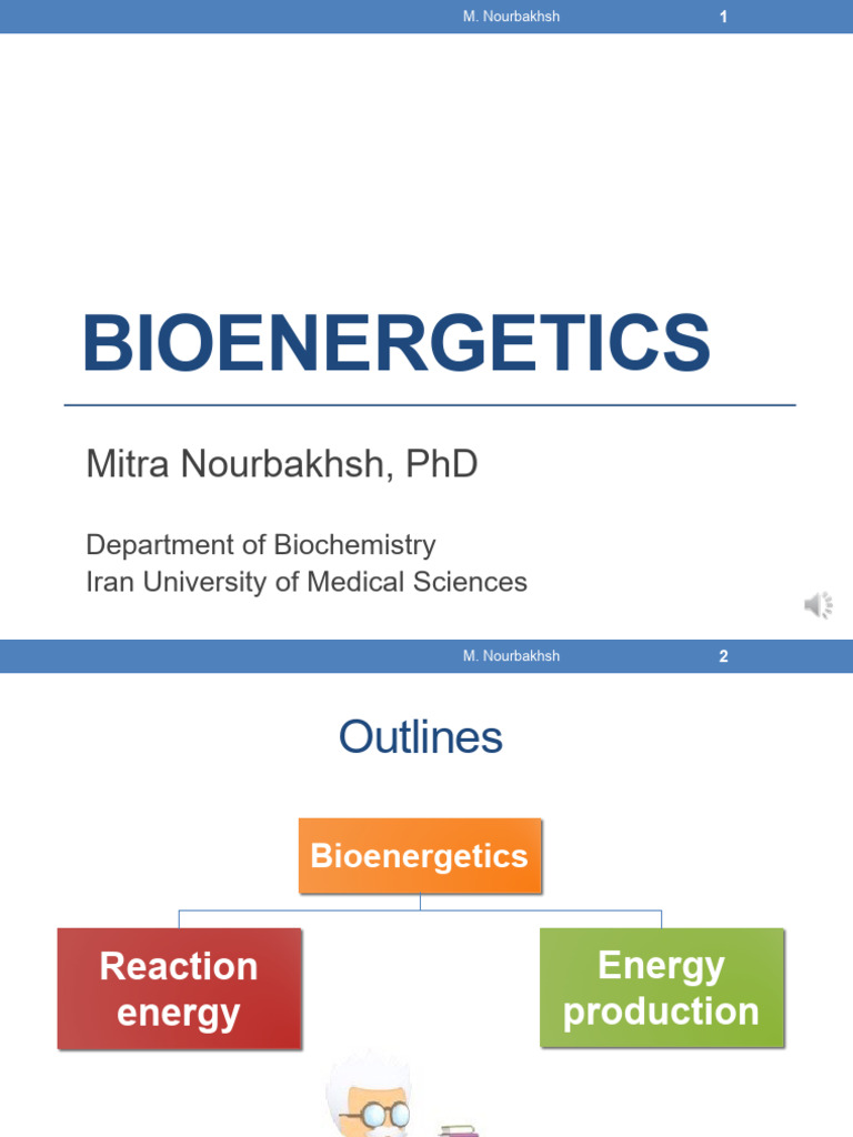 Bioenergetics 99 English | PDF | Gibbs Free Energy | Bioenergetics