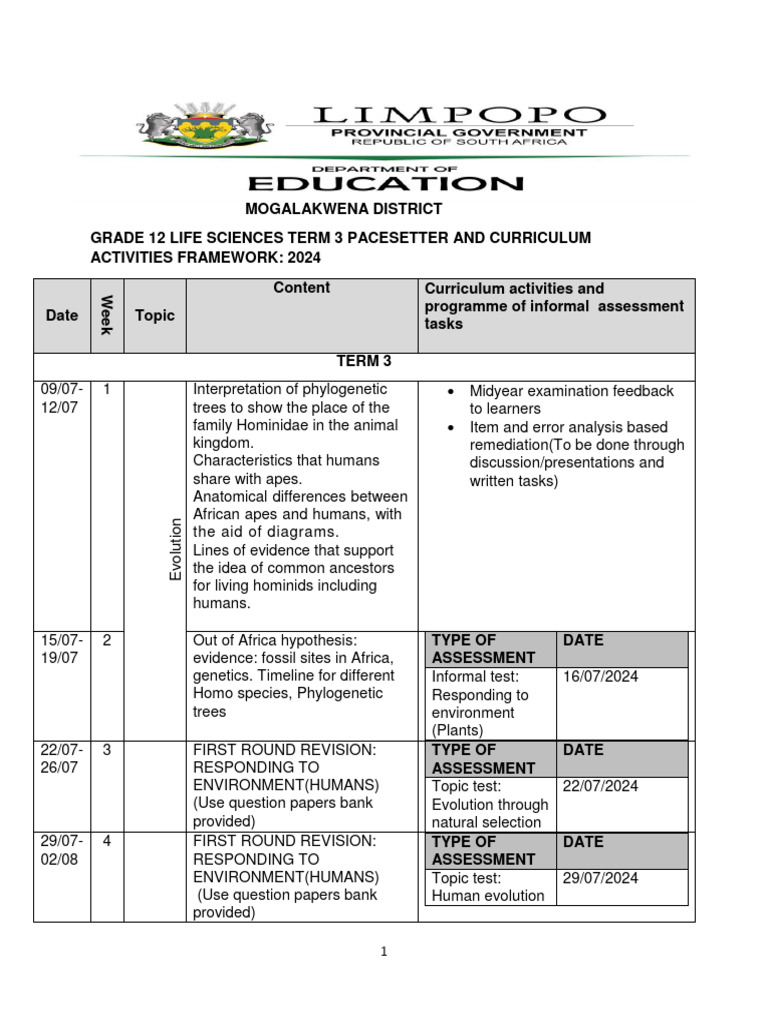 2024 Grade 12 Term 3 Pace Setter and Curriculum Activities | PDF ...