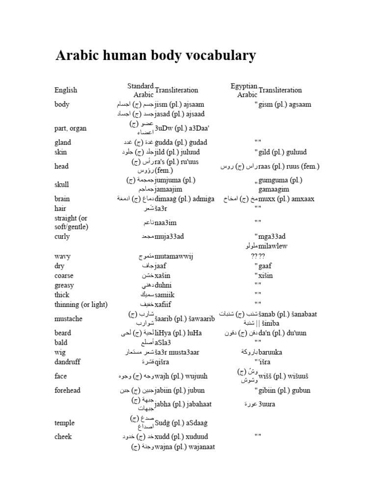 Arabic_human_body_vocabulary | PDF