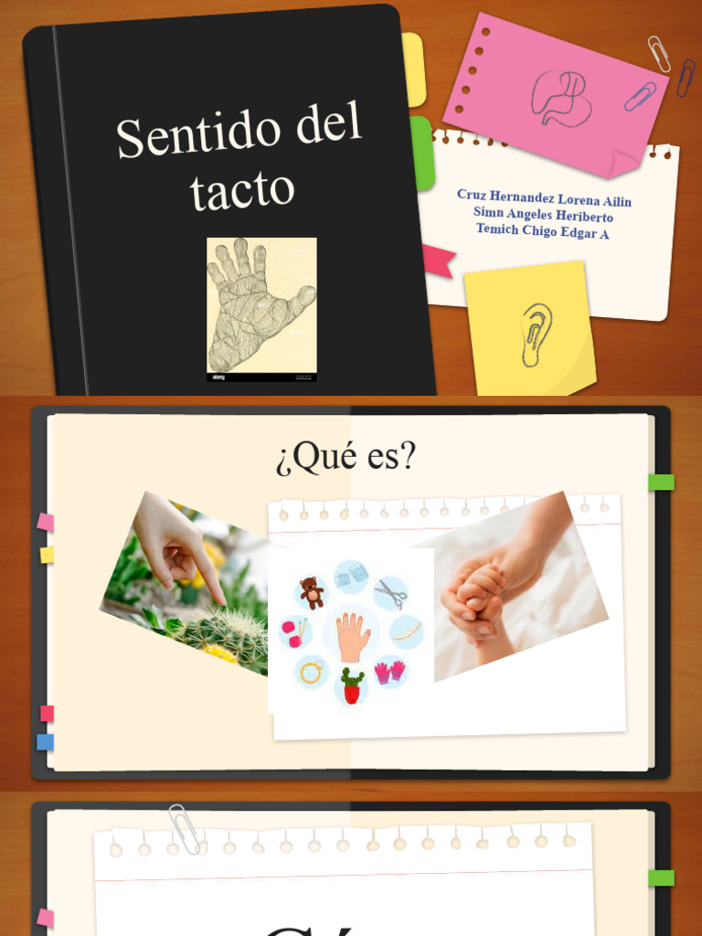 Guía del Sentido del Tacto | PDF