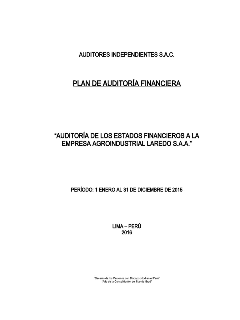 Infografia De Auditoria/plan De Auditoria