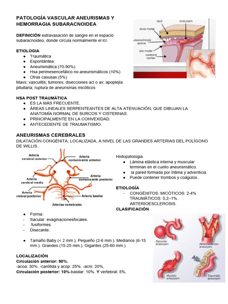 Patología Vascular Aneurismas y Hemorragia Subaracnoidea | PDF | Especialidades Medicas | Causas ...