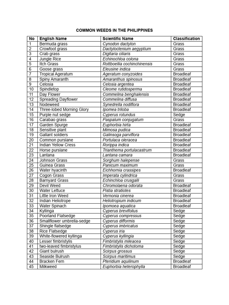 Common Weeds in The Philippines | PDF | Plants | Botany