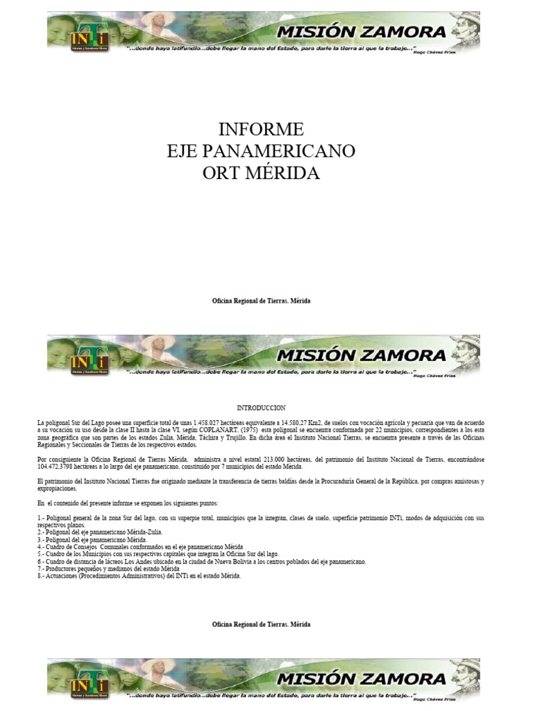 Informe Modelo | PDF