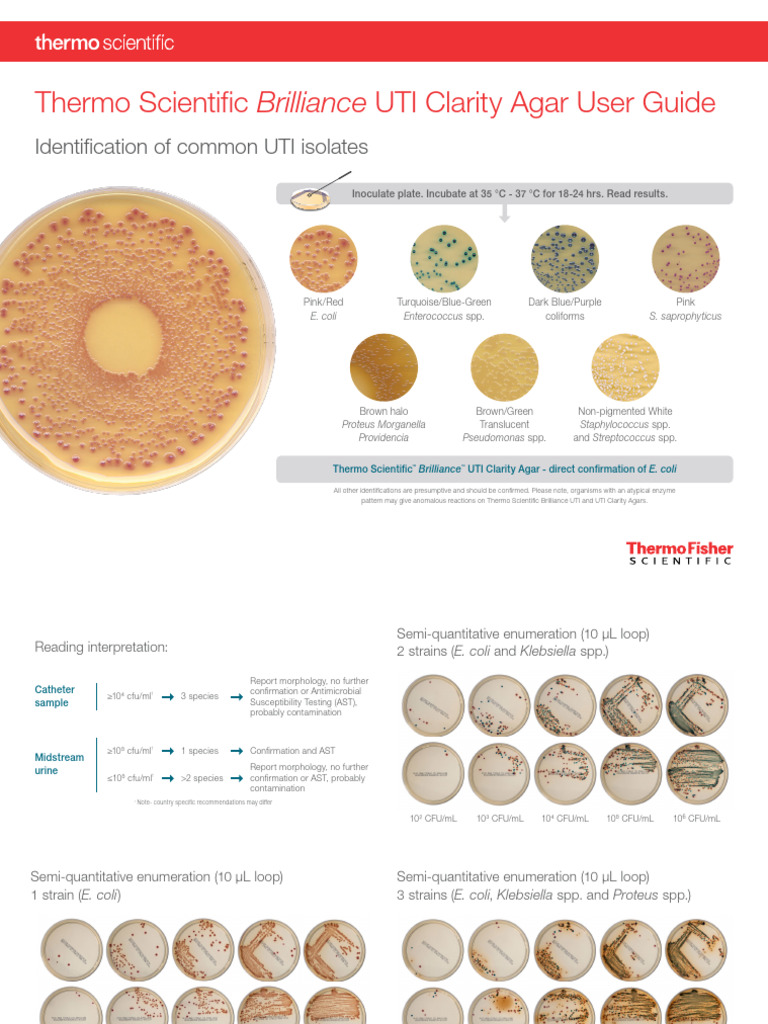 Brilliance UTI Clarity User Guide v11 FINAL | PDF | Colony Forming Unit ...