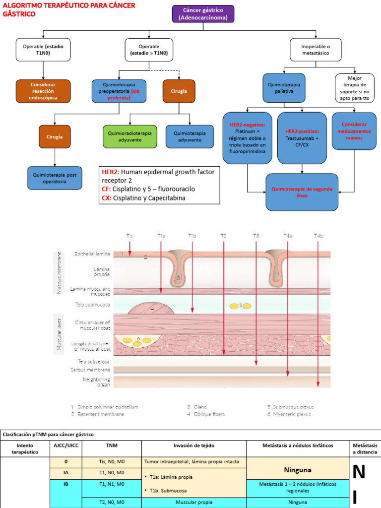 Tratamiento para Cáncer Gástrico y TNM | PDF | Metástasis | Cáncer