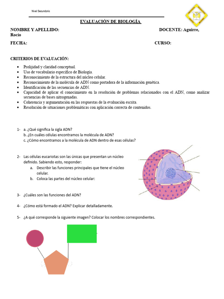 Evaluación ADN | PDF | Adn | Biología Celular)