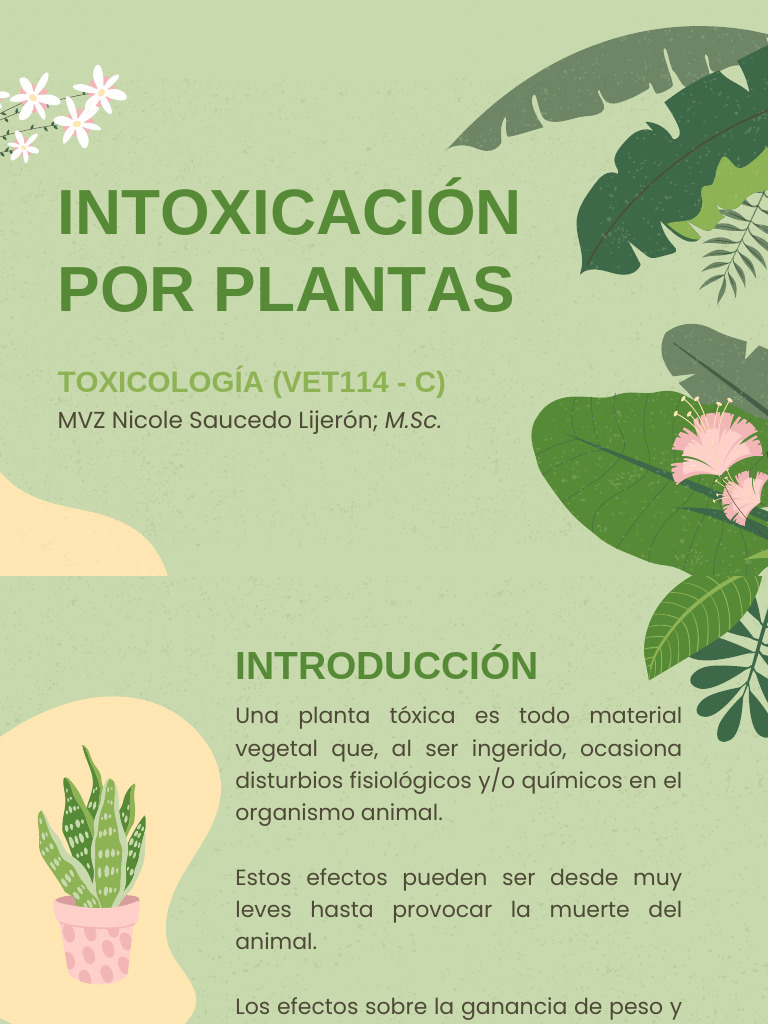 Plantas Tóxicas - 20240515 - 090322 - 0000 | PDF | Toxicidad Plantas Tóxicas - 20240515 - 090322 - 0000 | PDF | Toxicidad