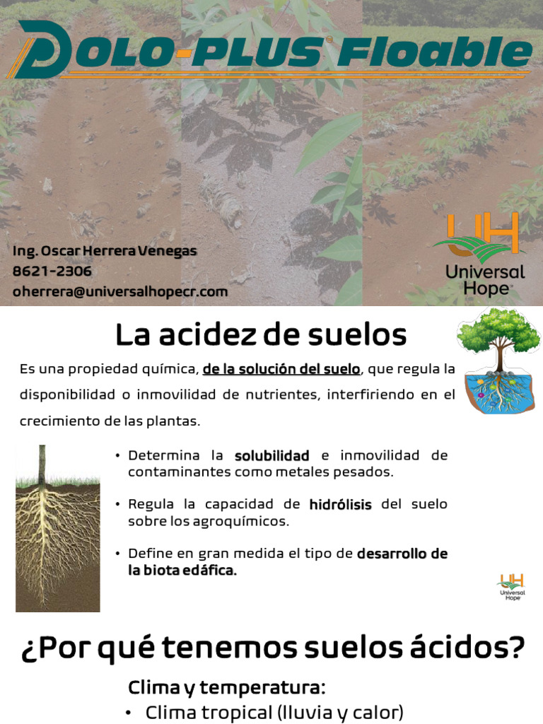 DOLO PLUS 2024 v1 | PDF | Fertilizante | Sustancias químicas