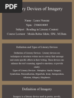 Different Types of Imagery | PDF | Somatosensory System | Senses