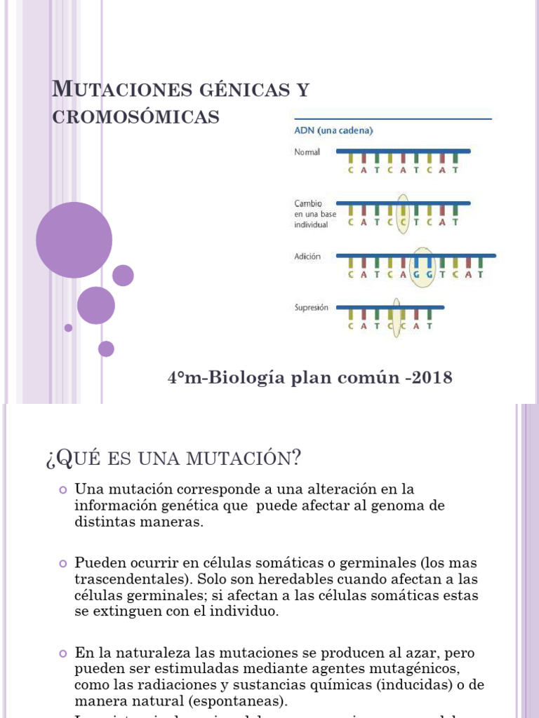Mutaciones: Tipos y Consecuencias | PDF | Mutación | Gene