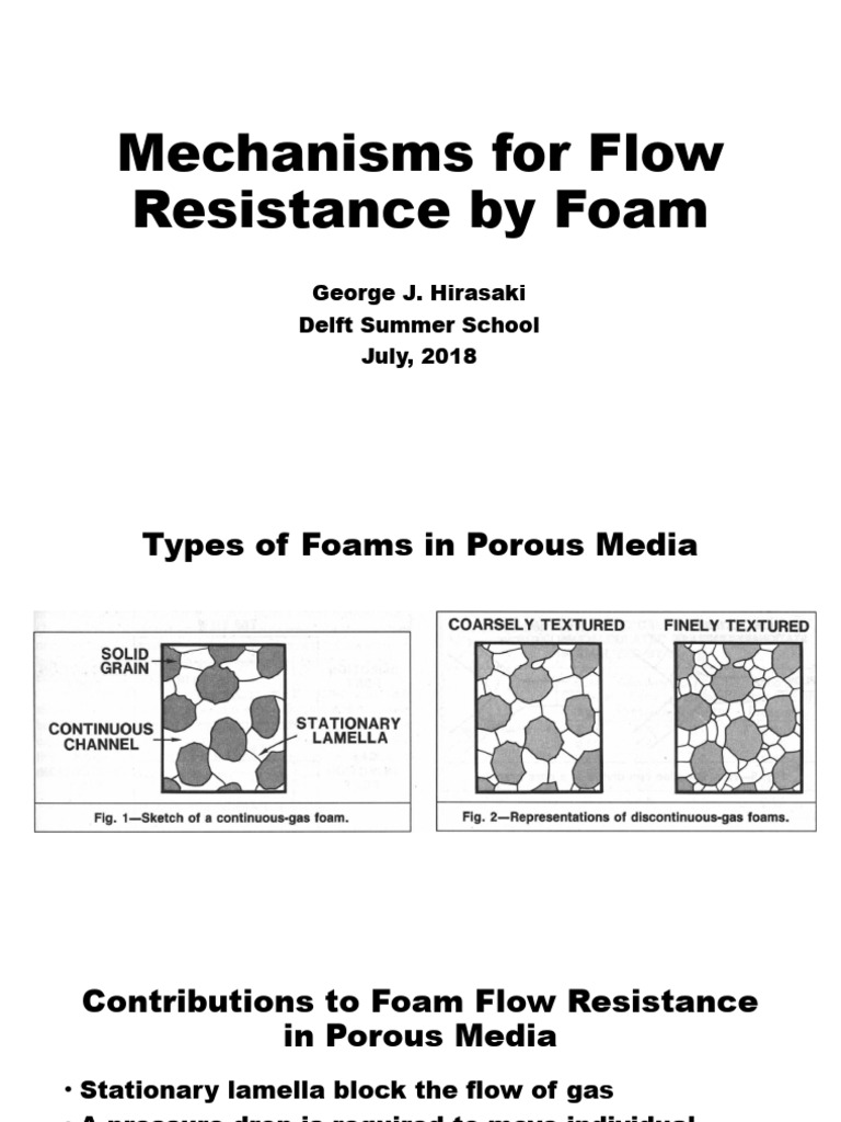 Mechanisms for Foam Resistance by Foam | PDF | Foam | Viscosity