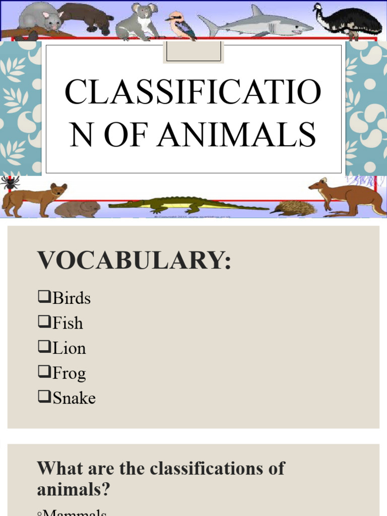 Classification of animals | PDF