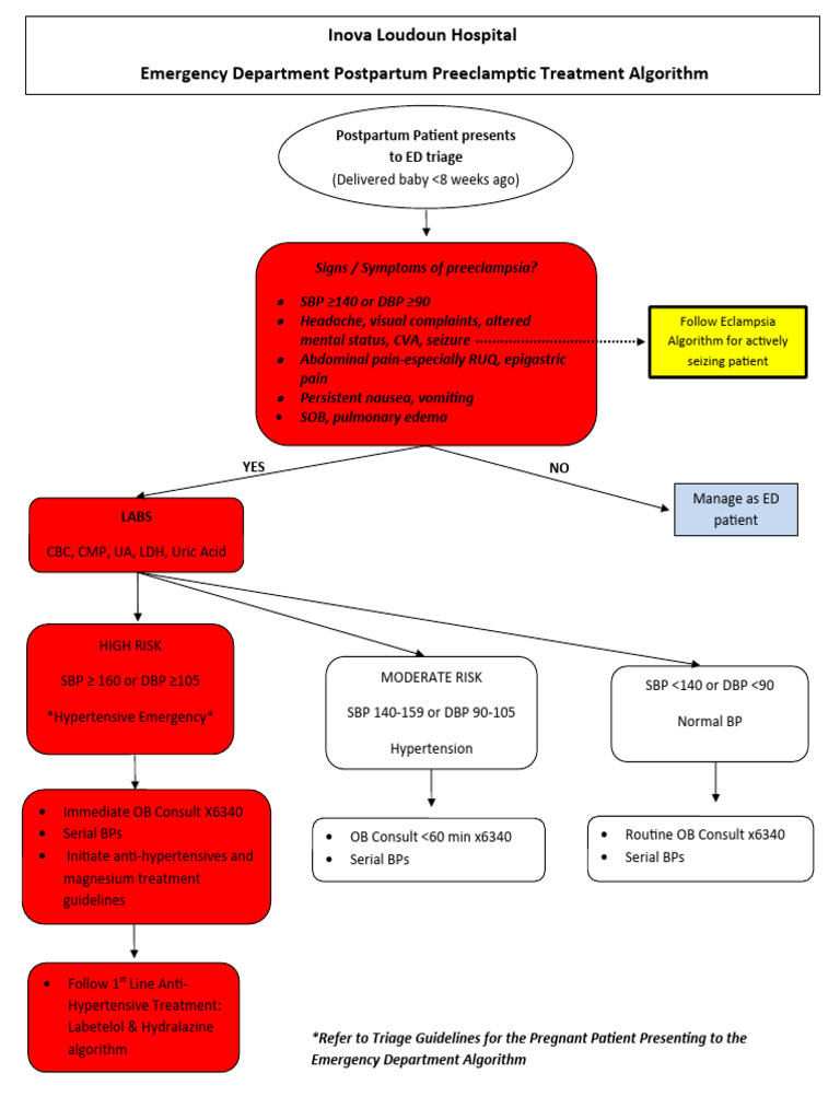 ILH ED Preecalmpsia Algorithm1 | PDF | Emergency Department | Health Care