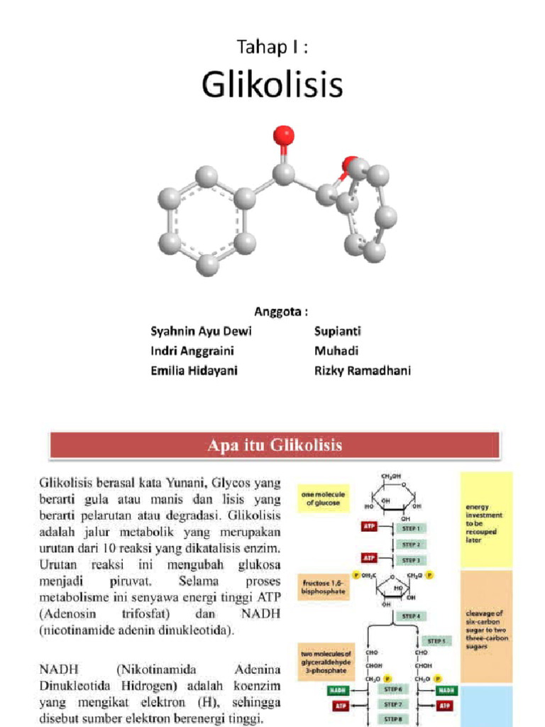 Glikolisis | PDF