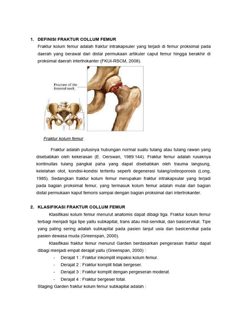 LP Fraktur Collum Femur | PDF