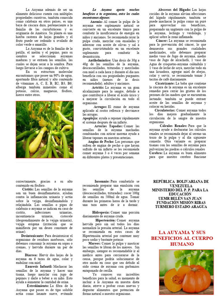 Uemr Belen Triptico Auyama | PDF | Miel | ensalada