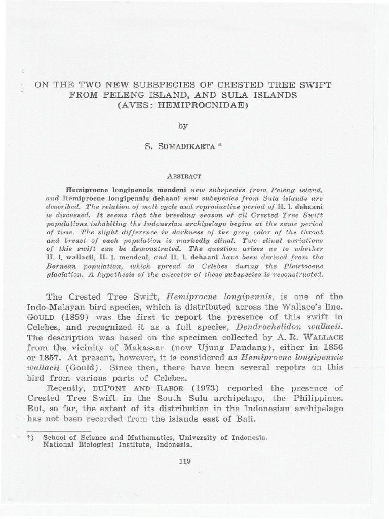 New Subspecies of Crested Tree Swift | PDF | Birds