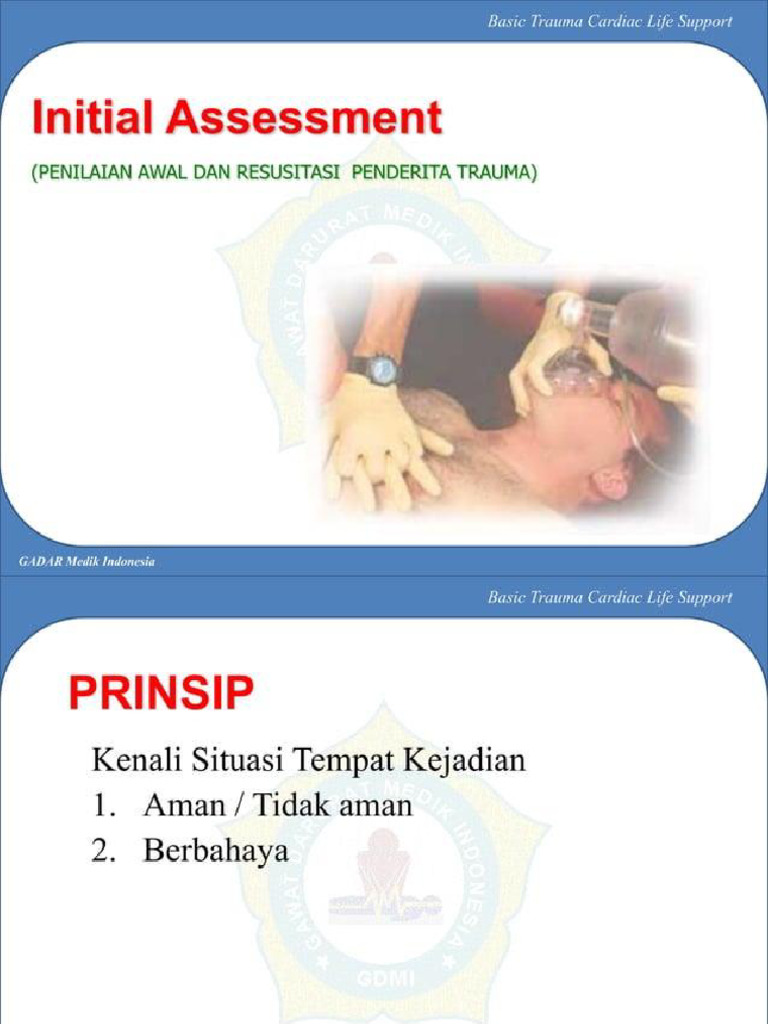 Initial Assessment | PDF