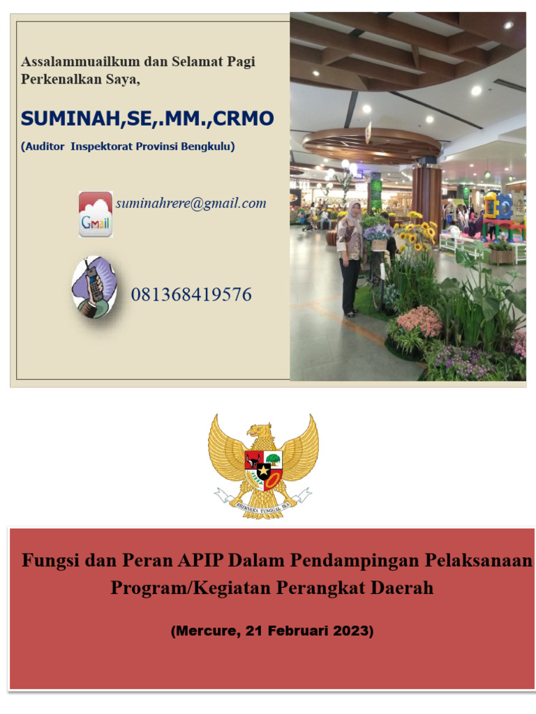 Peran APIP dalam Pengawasan Daerah | PDF