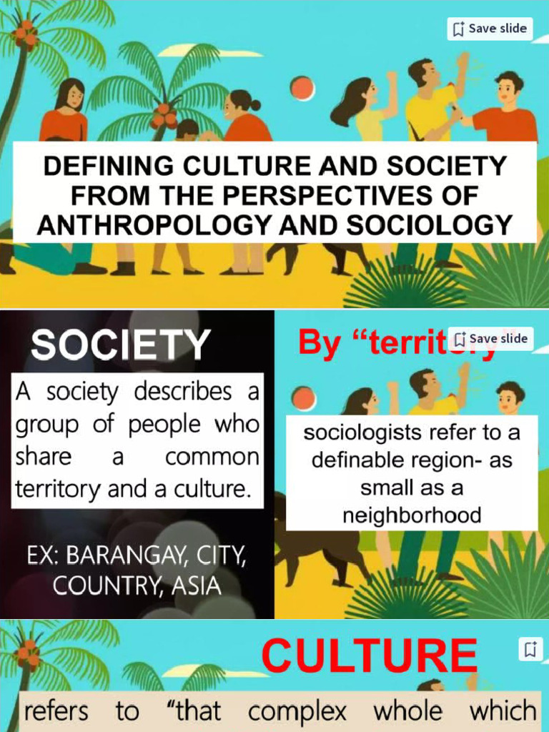 LESSON 2 Defining Culture and Society From The | PDF