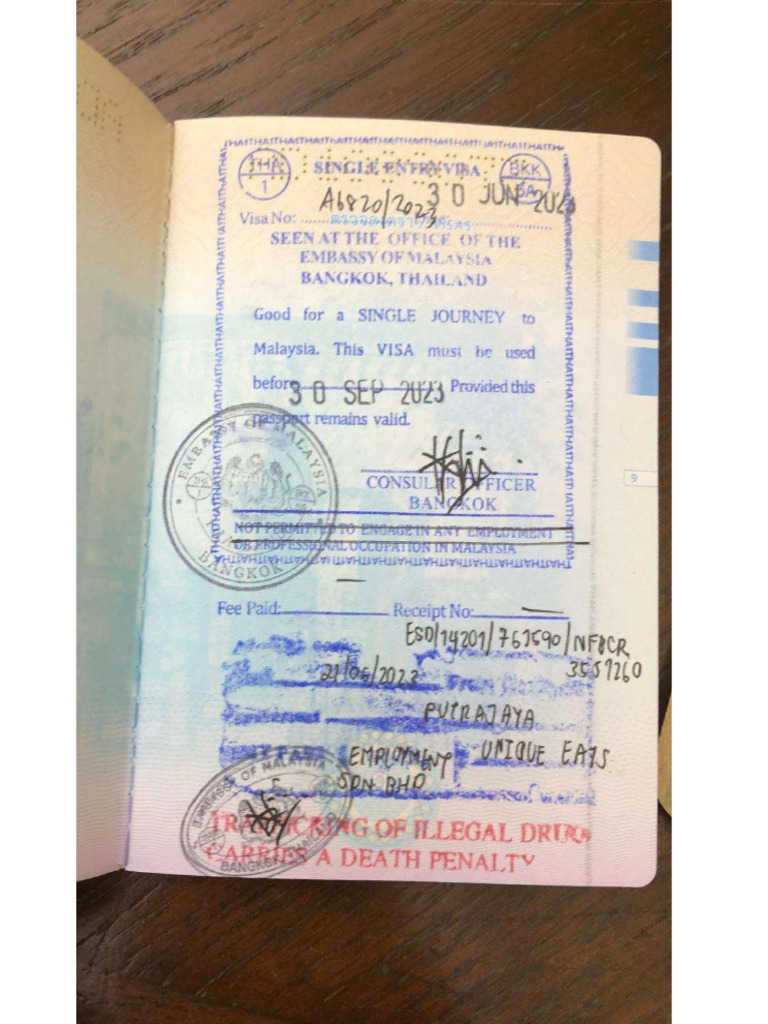 Embassy Visa PDF | PDF