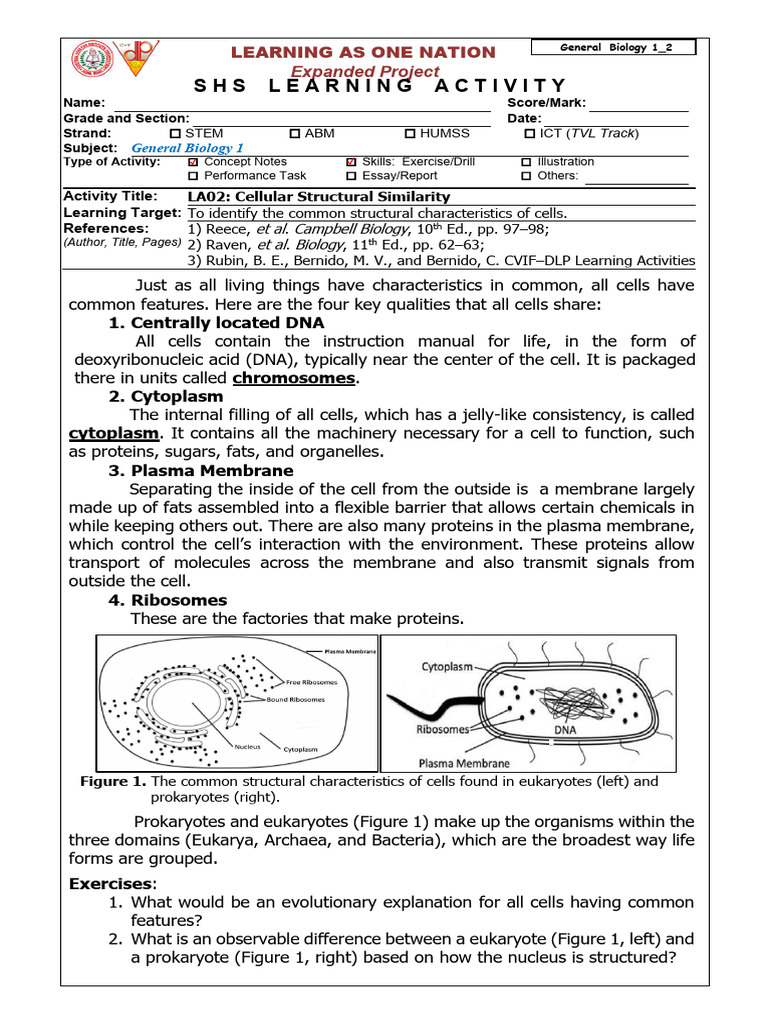 Common Features of All Cells | PDF | Cell (Biology) | Biology