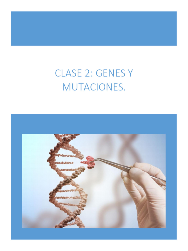 Clase 2 Genes y Mutaciones | PDF | Gene | Mutación