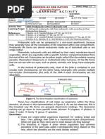7es Detailed Lesson Plan Hierarchy of Taxonomic Classification | PDF ...