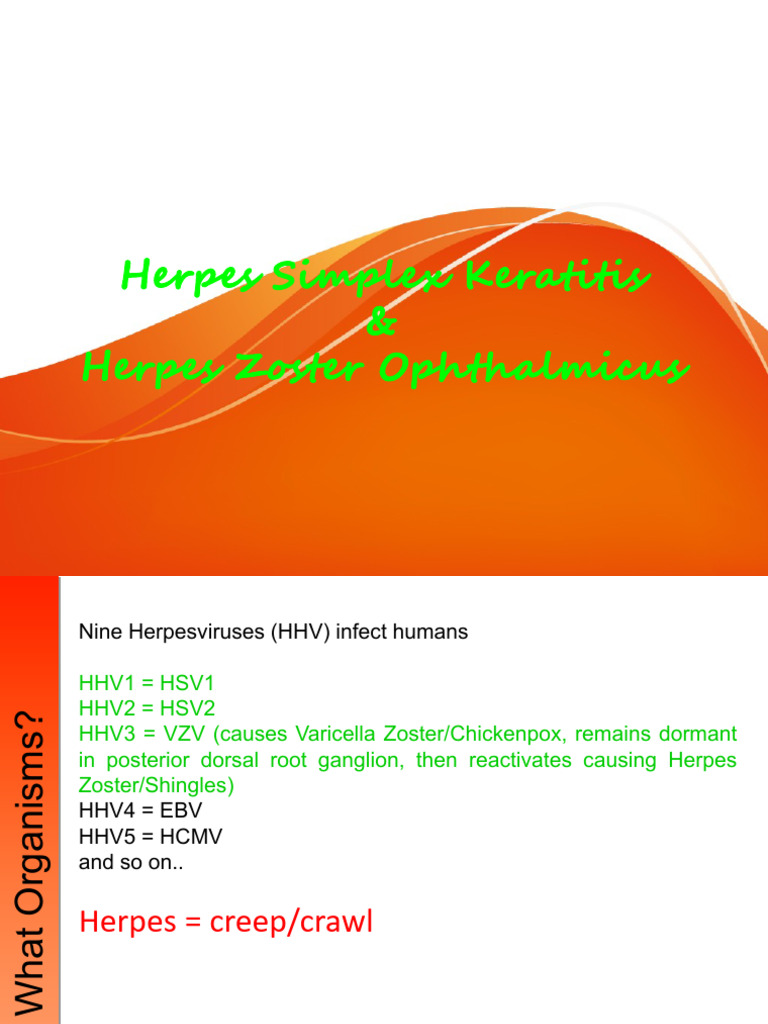 HSV and VZV | PDF | Cornea | Human Eye