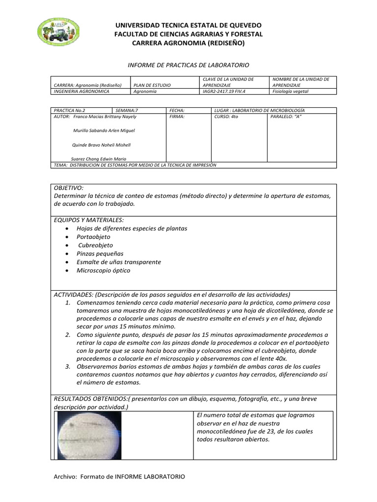 Conteo de Estomas en Hojas | PDF | Estoma | Hoja