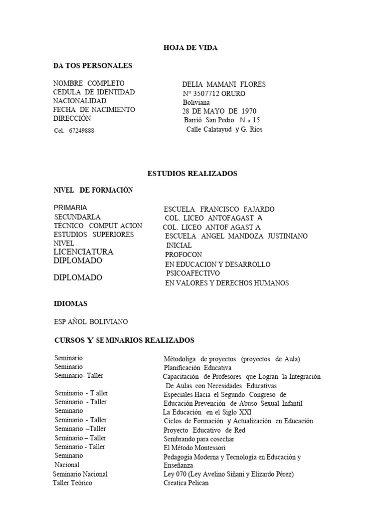 Curriculum Vitae | PDF | Escuelas
