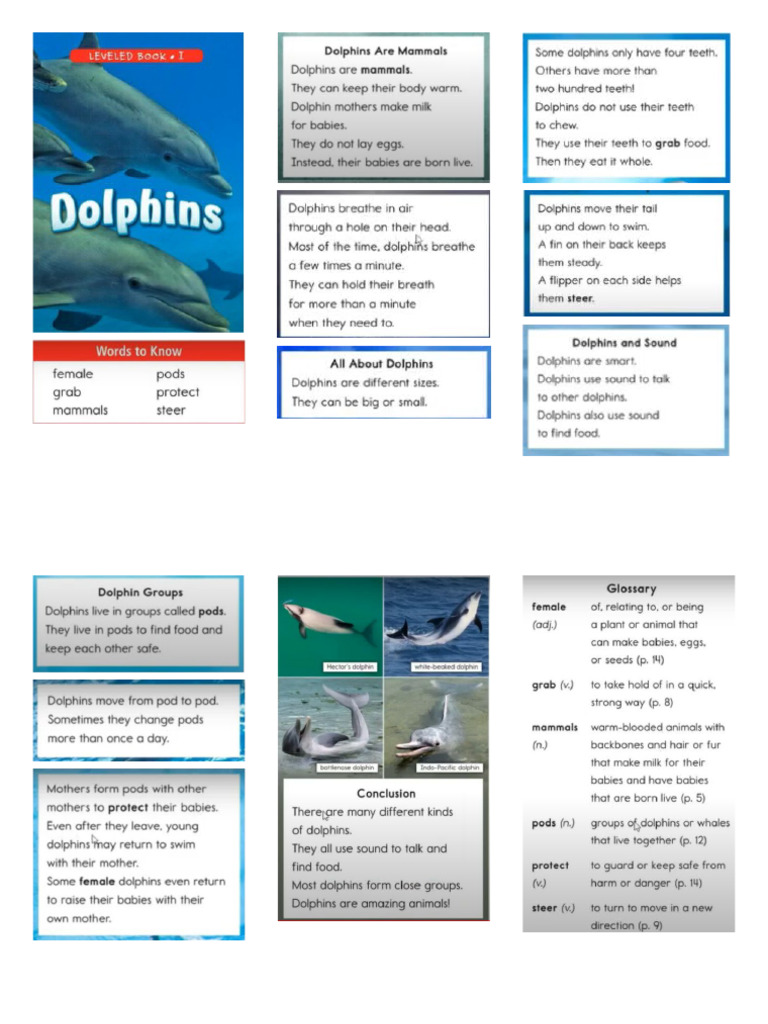 DOLPHINS | PDF
