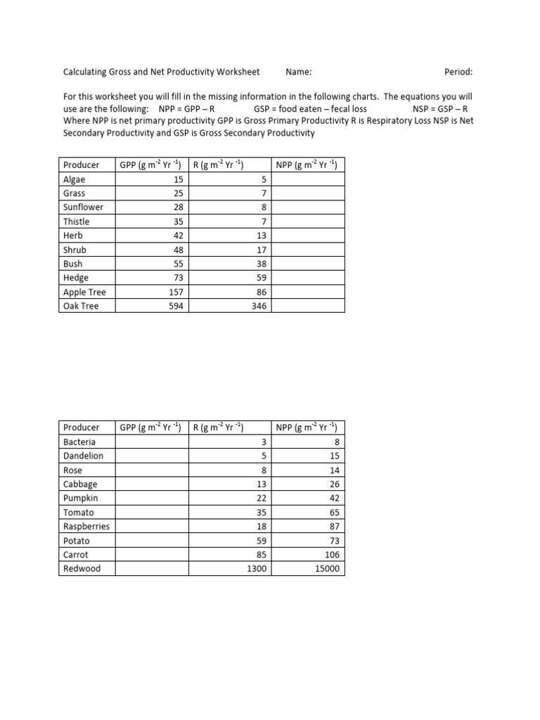 Calculating Gross and Net Productivity Notes Kinda | PDF