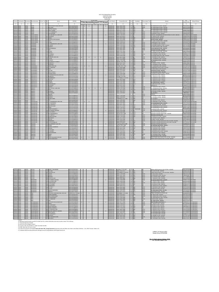NEW Format Re Entry Database TPK Tahun 2022 (1) - 2 | PDF