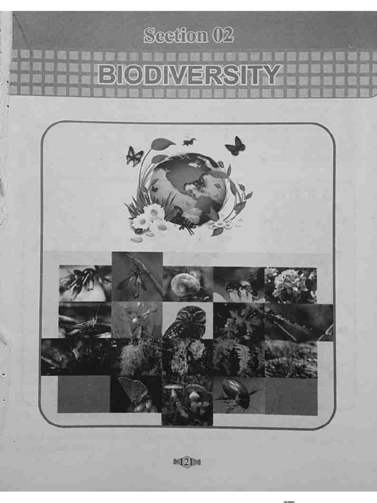 11th Class Biology Book ch5 Balochistan Board | PDF