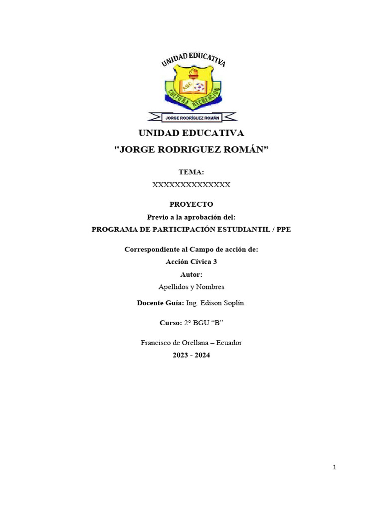 Formato de Informe Del Proyecto de PPE | PDF