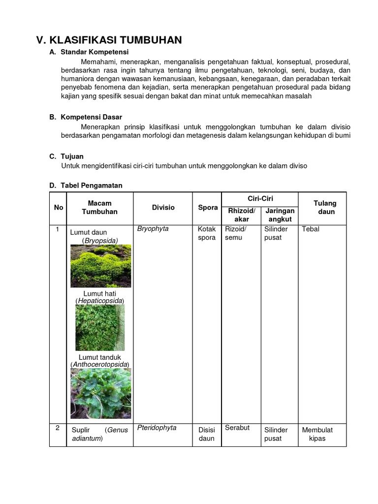 Klasifikasi Tumbuhan Berdasarkan Morfologi | PDF