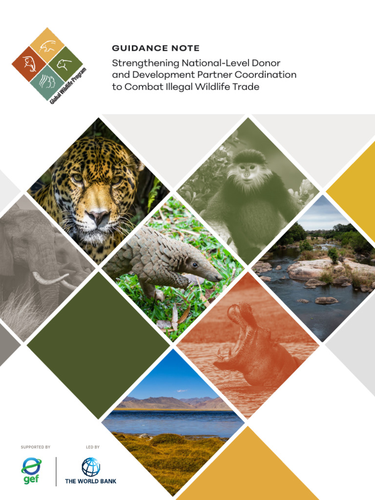 Illegal Wildlife Trade - Strengthening National-Level Donor and ...