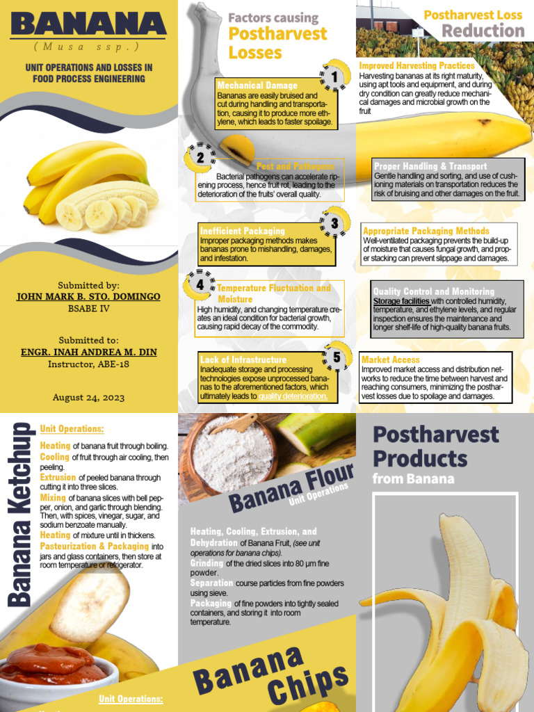 Final Banana Processing - JM | PDF | Potato Chip | Banana